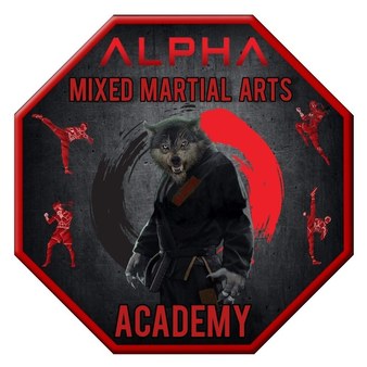 Alpha MMA Academy Baia Mare | Gym Page | Tapology