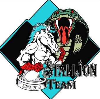 Stallion Team | Gym Page | Tapology