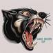 Lobos Boxing Club | Gym Page | Tapology