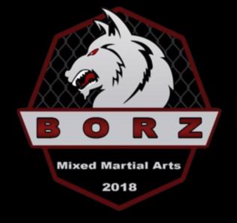 Borz MMA | Gym Page | Tapology