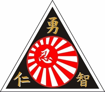 Dux Ryu MMA Warrior System | Gym Page | Tapology