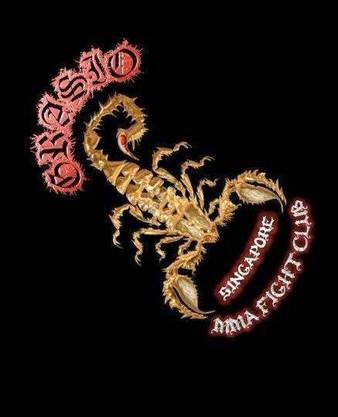 Grasio MMA | Gym Page | Tapology