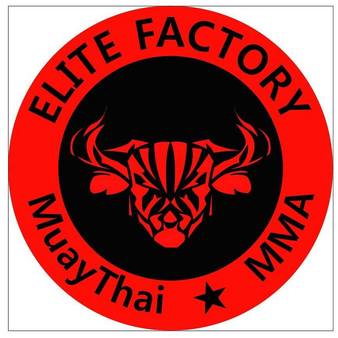 Elite Factory | Gym Page | Tapology