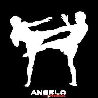 Angelo MMA | Gym Page | Tapology