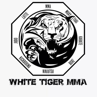 White Tiger Sambo MMA | Gym Page | Tapology