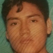 Mario Torres | MMA Fighter Page | Tapology