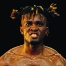 Krishna Payasi vs. Rudy Tshisuaka, Warriors Dream Series 9 | MMA Bout ...