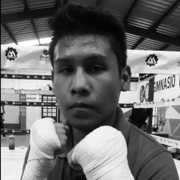 Jesus Becerril Mares vs. Jesus Daniel Garcia, Calvo vs. Nieto | Boxing ...