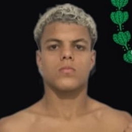 Diego Ferreira vs. Nicolas Gabriel, Copa Paraná de MMA 3 | MMA Bout ...