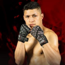 Manuel Gonzalez vs. Brian Barajas, La Noche del Puño Vol. 6 | Boxing ...