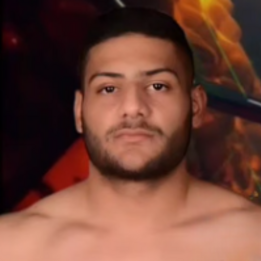 Mohammad Hosienpour vs. Seyed Mehdi Hashemi, Farst FC 2 | MMA Bout ...
