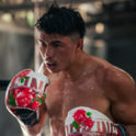 UTMA 18 | Kickboxing & Muay Thai Event | Tapology