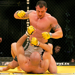 Tomasz Drwal vs. Ivan Serati, UFC 93 | MMA Bout | Tapology