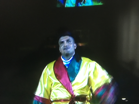 Samir Bourekba | MMA Fighter Page | Tapology