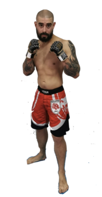 Lewis Cristaldo ("The Bull") | MMA Fighter Page | Tapology