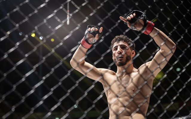 Sami Zarabi | MMA Fighter Page | Tapology