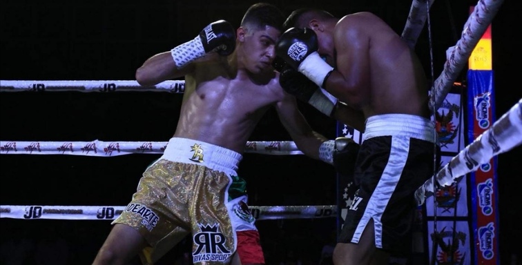 Rodolfo Bustamante ("Elegante") | Boxer Page | Tapology