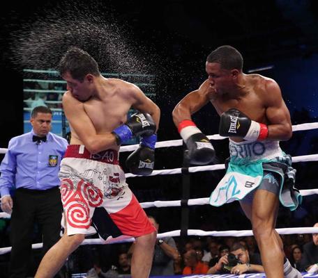 Pedro Marquez ("Pedrito") | Boxer Page | Tapology