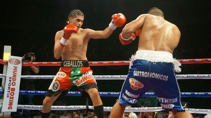 Manuel Ceballos ("El Venado") | Boxer Page | Tapology