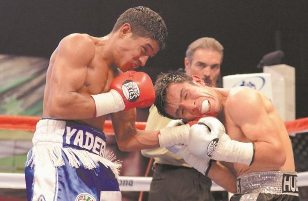 Yader Cardoza ("Chocolate") | Boxer Page | Tapology