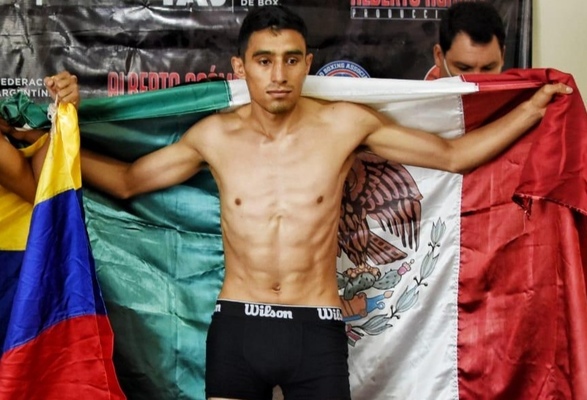 Luis Castillo ("La Sombra") | Boxer Page | Tapology