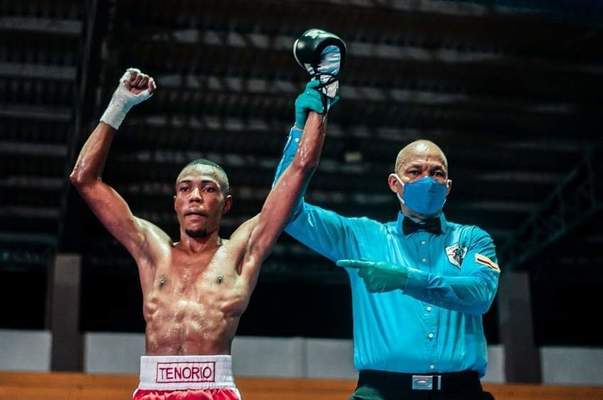 Luis Tenorio | Boxer Page | Tapology