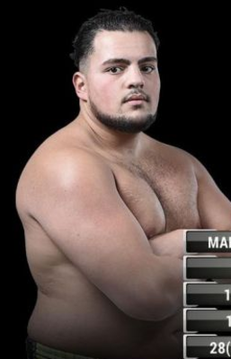 Mohammed Seddik ("The Bone Breaker") | Fighter Page | Tapology