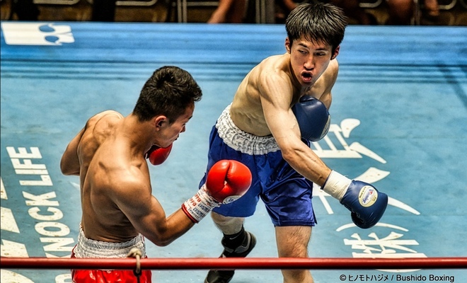 Shinya Kai | Boxer Page | Tapology