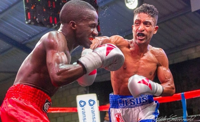 Daniel Pontack ("The Canary") | Boxer Page | Tapology