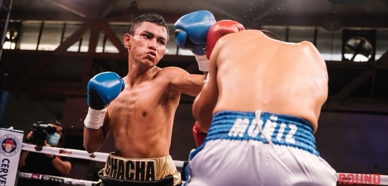 Julian Chacha ("El Chachalaco") | Boxer Page | Tapology