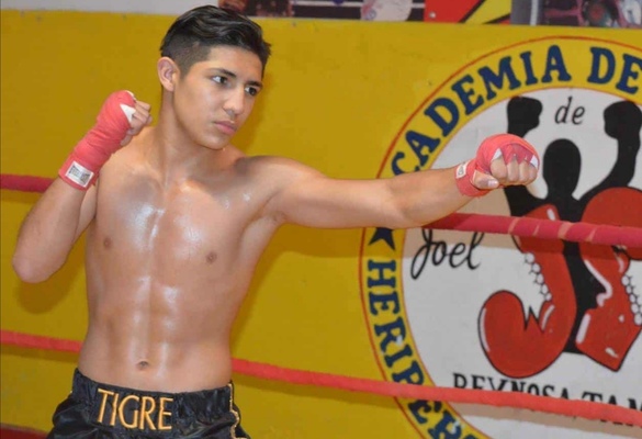 Hugo Castaneda ("Tigre") | Boxer Page | Tapology