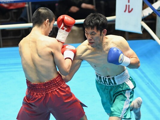 Shogo Sakai | Boxer Page | Tapology