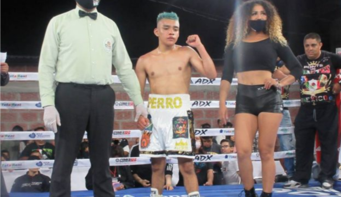 Emmanuel Salgado ("El Perro") | Boxer Page | Tapology