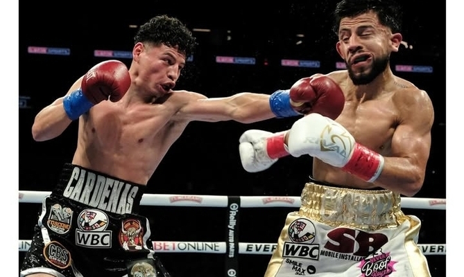 Arturo Cardenas | Boxer Page | Tapology