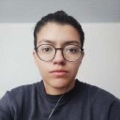 Gina Castillo | MMA Fighter Page | Tapology