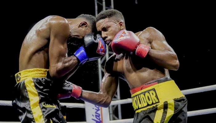 Hamilton Silva Junior ("Demolidor") | Boxer Page | Tapology