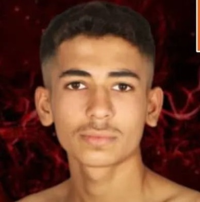 Hamid Reza Jafari | MMA Fighter Page | Tapology