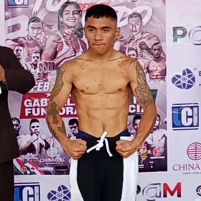 Michel Gomez Aguilar ("Gallo Negro") | Boxer Page | Tapology