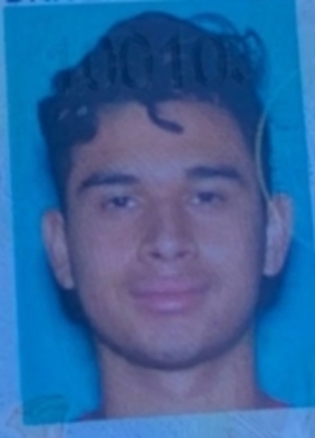 Michael Zamora | MMA Fighter Page | Tapology