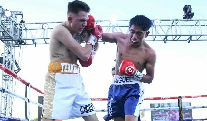 Miguel Miranda | Boxer Page | Tapology