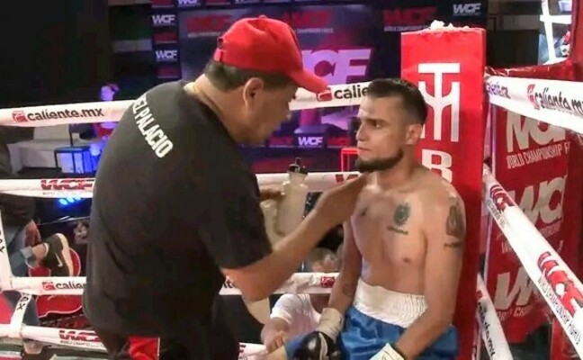 David González | Boxer Page | Tapology