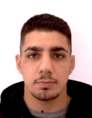 Ali Albazi | MMA Fighter Page | Tapology