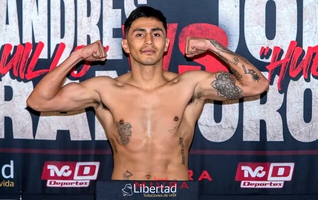 Joe Rodríguez Aviles ("El Increíble") | Boxer Page | Tapology