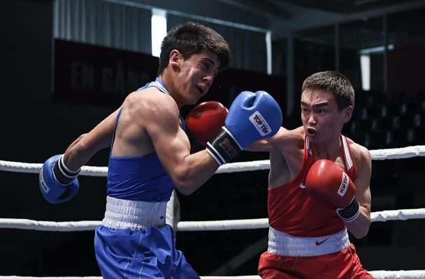 Vasily Egorov | Boxer Page | Tapology