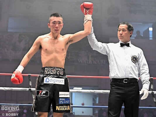 Kento Kadooka | Boxer Page | Tapology