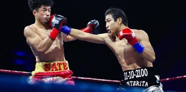 Dorian Mendez ("Panterita") | Boxer Page | Tapology