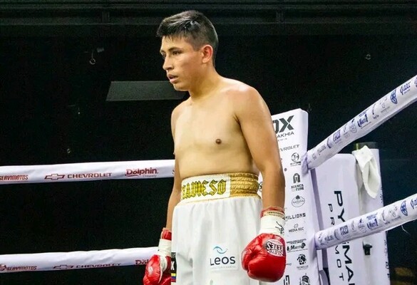 Jordy Daniel Luna ("Travieso") | Boxer Page | Tapology