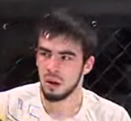 Shamil Magomedov | MMA Fighter Page | Tapology