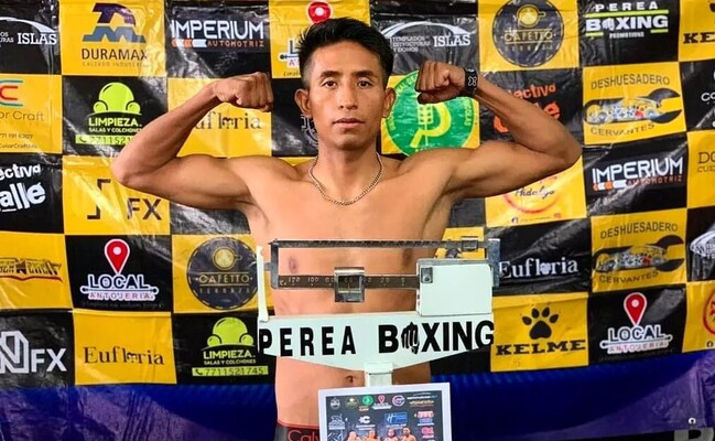 Francisco Lopez ("Andy") | Boxer Page | Tapology