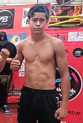 Luis Torres | Boxer Page | Tapology